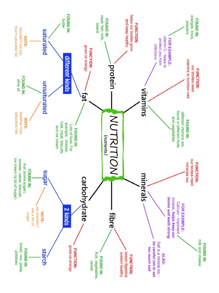 Nutrition Nutrients Mind Map and Exercises - 20946 | PDF ...