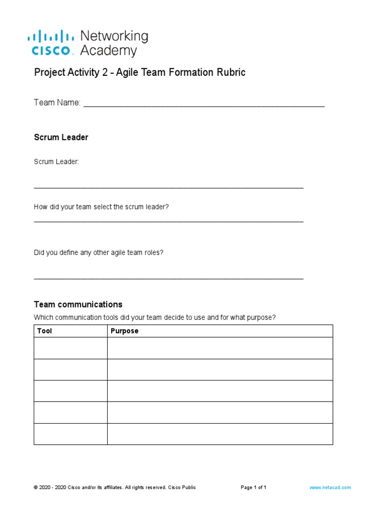 Project Activity 2 - Agile Team Formation Rubric | PDF