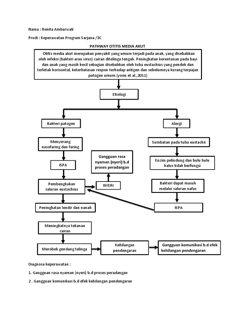 Pathway OMA | PDF