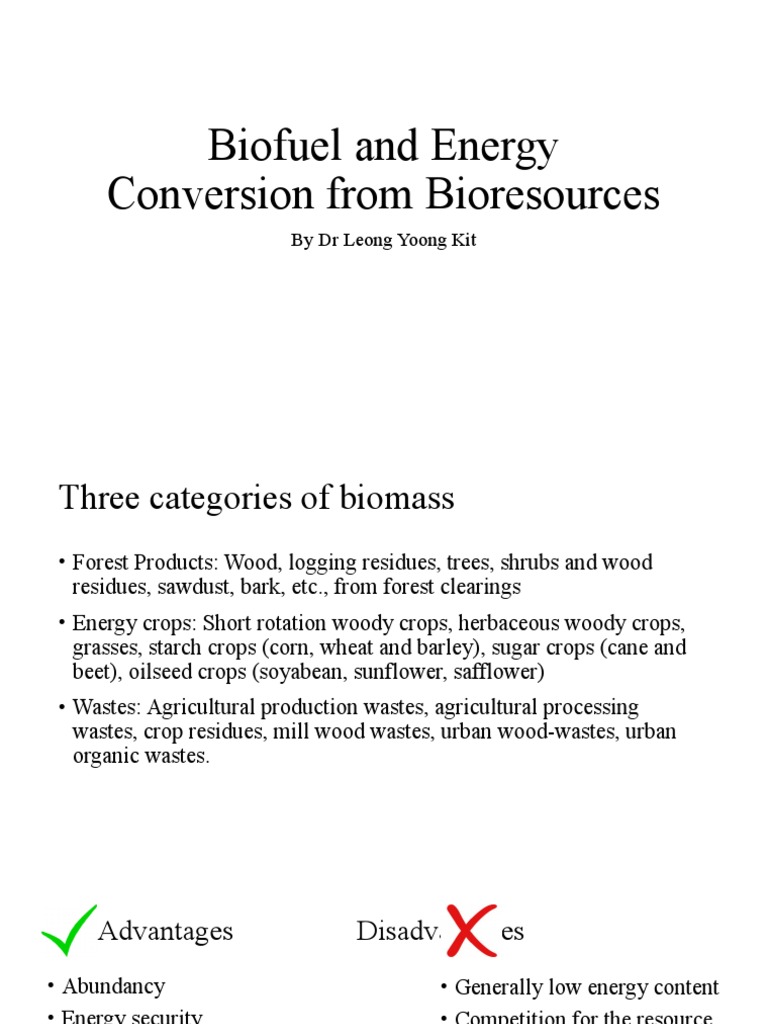 Biofuel and Energy Conversion From Bioresources | PDF | Gasification ...