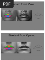 250 Box Drawing Challenge Guide | PDF
