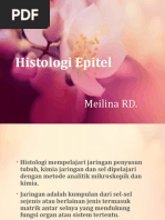 Skema Dermatom Dan Sklerotom | PDF