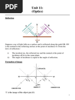 Category 2 - FISO - Sample Questions | PDF | Leaf | Earth Sciences