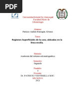 Anatomía y Función de la Región Labial | PDF | Labio | Anatomía humana