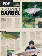 (BAITS) Farmers Guidelines Scope - 0 | PDF
