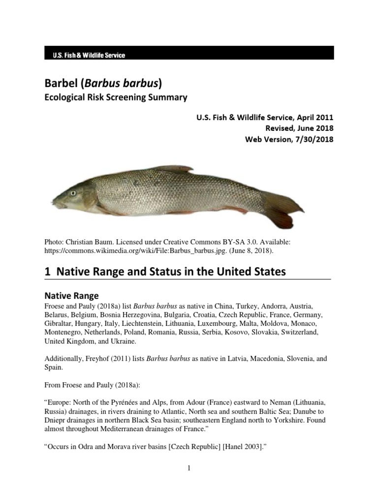 Barbel Ecological Risk Summary | PDF | Danube | Spawn (Biology)