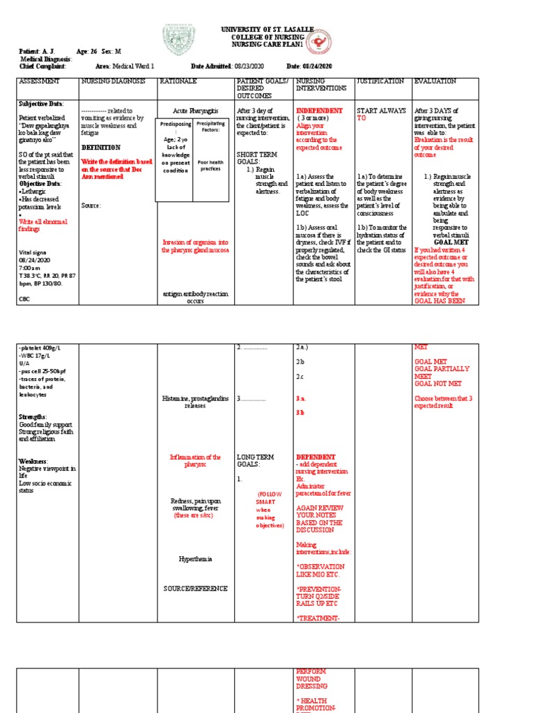 NCP Sample | PDF | Nursing | Weakness