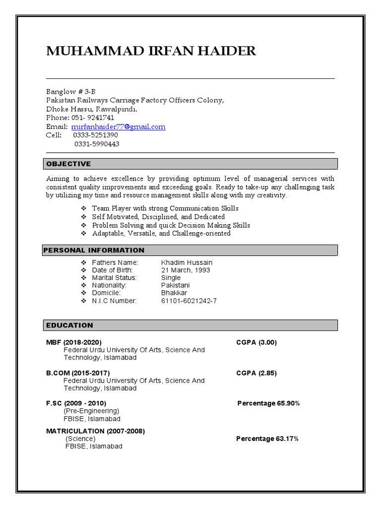 Muhammad Irfan Haider CV | PDF
