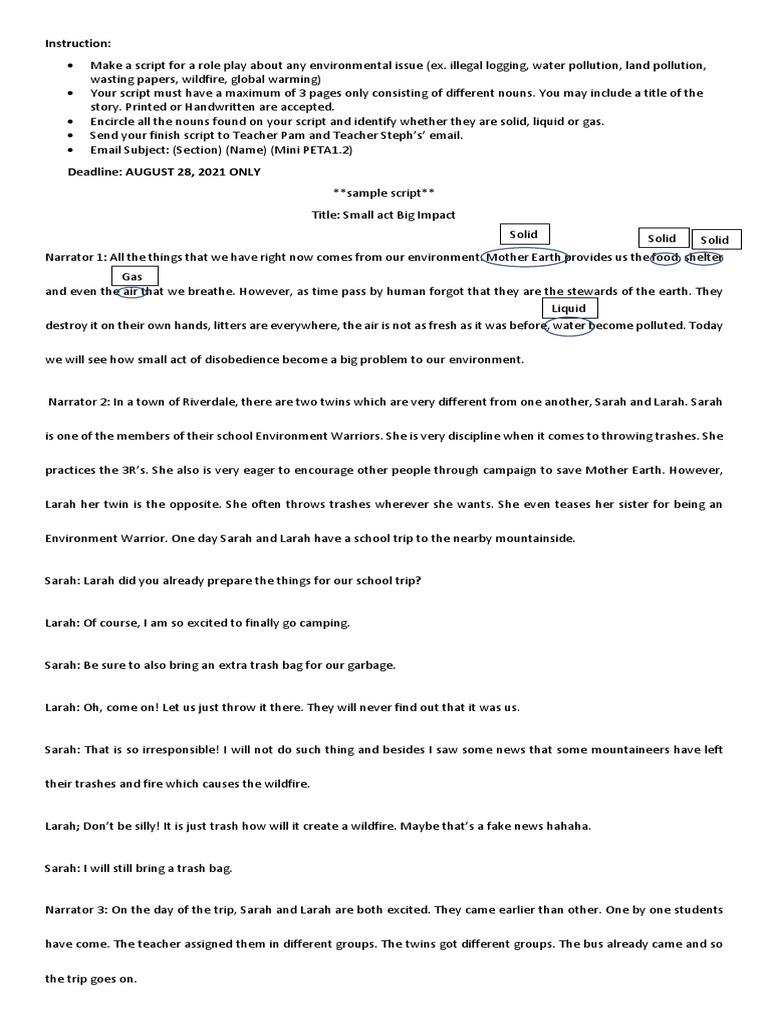 MINI PETA 1.2 Sample Script With Instruction | PDF