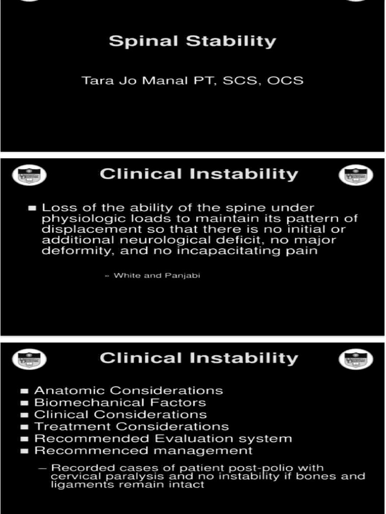 Spinal Stability | PDF | Spinal Cord | Anatomical Terms Of Motion