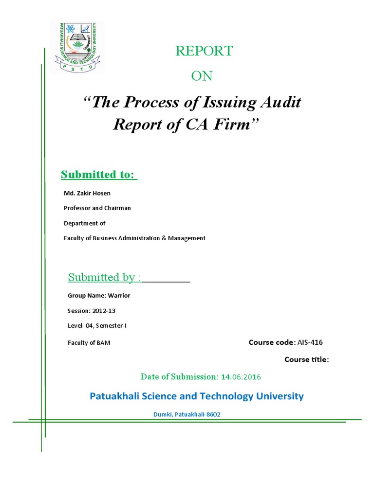 "The Process of Issuing Audit Report of CA Firm": Submitted To | PDF