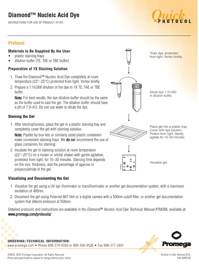 Diamond Nucleic Acid Dye FB142 | PDF | Agarose Gel Electrophoresis ...