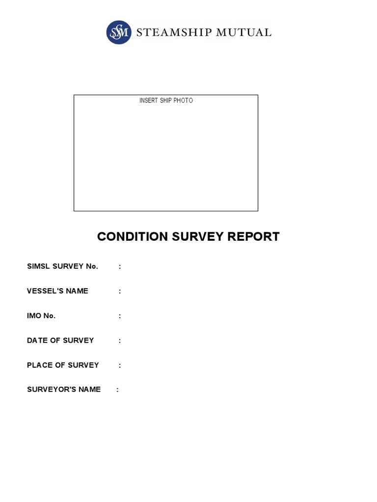 Full Condition Survey Report | PDF | Computer Security | Security