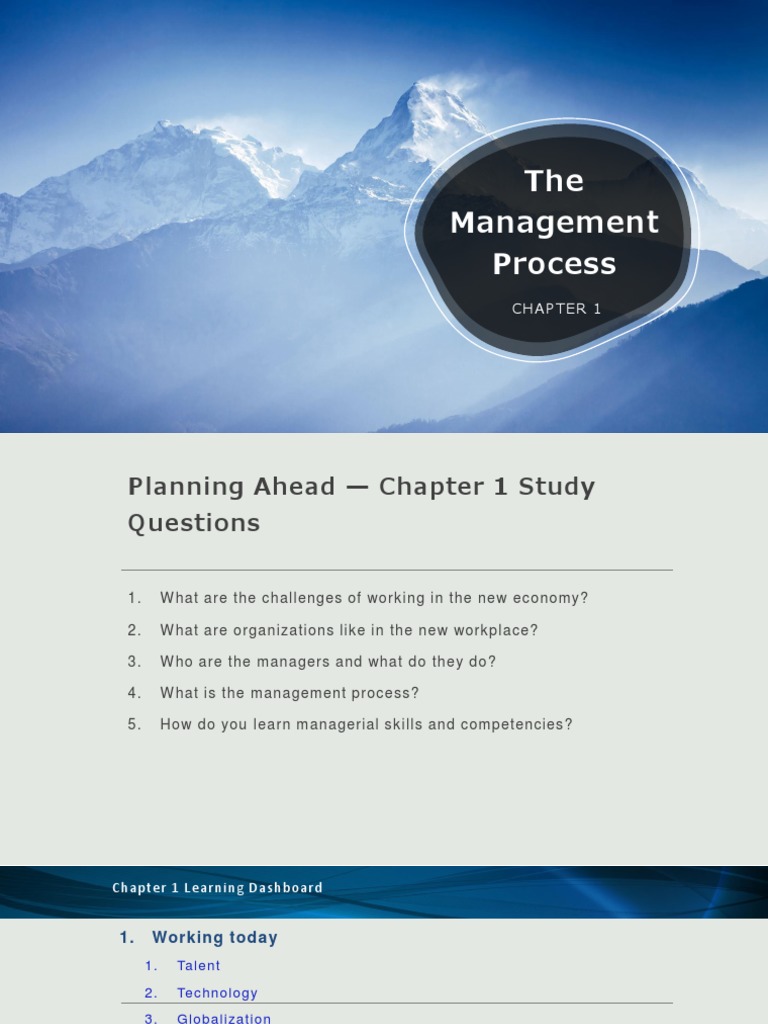 The Management Process | PDF | Economies | Business