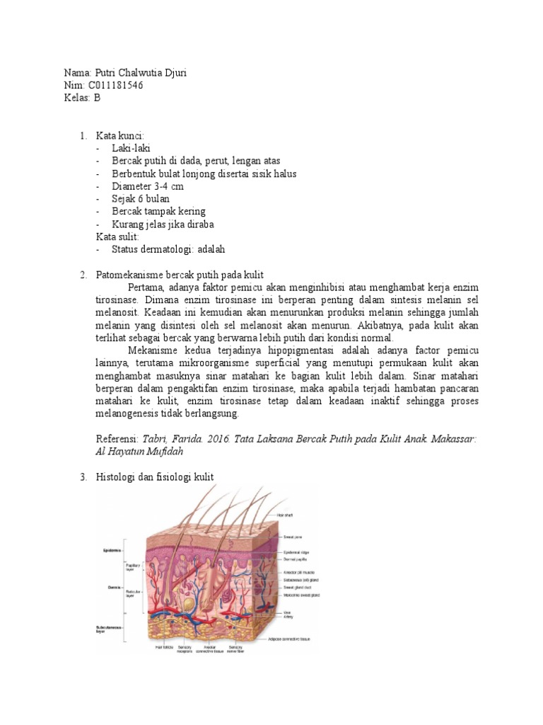 Modul Bercak Putih | PDF