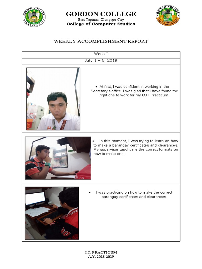 Weekly Accomplishment Report Ojt | PDF | Office Equipment | Computer ...