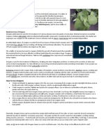 The-Modified-Sarnat-Score-in-the-Assessment-of-Neonatal-Encephalopathy ...