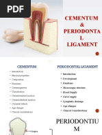 Normal Anatomy of Radiology | PDF | Human Tooth | Dental Anatomy
