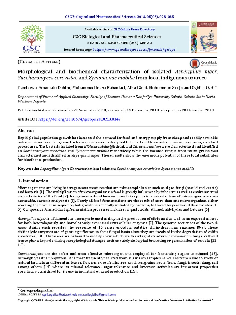 Morphological and Biochemical Characterization of Isolated Aspergillus ...