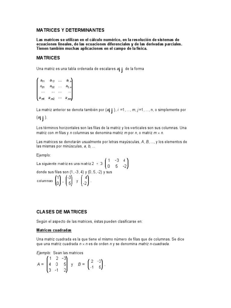 Matrices y Determinantes | PDF | Matriz (Matemáticas) | Determinante