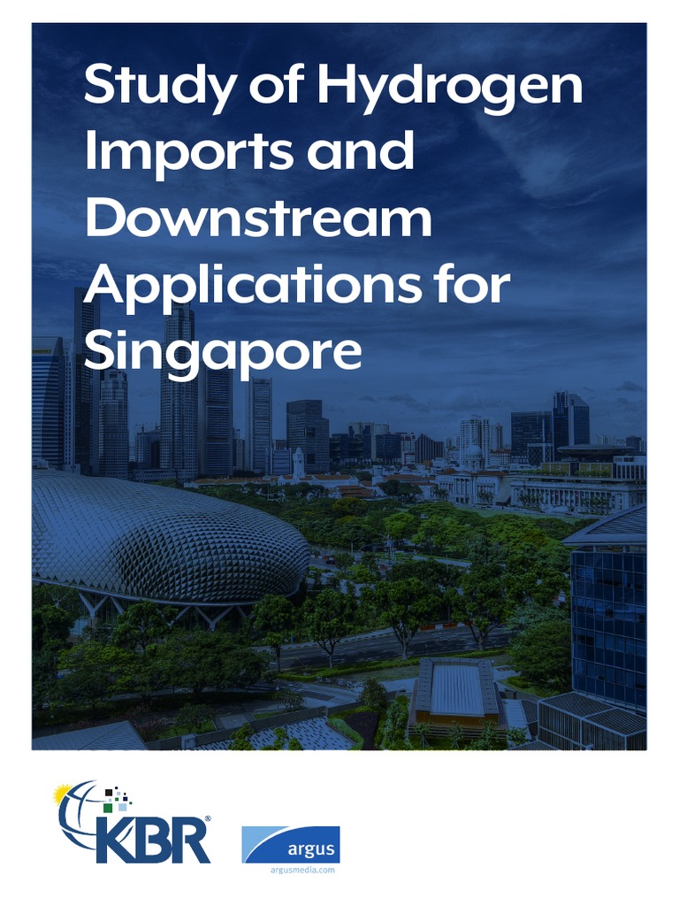 Hydrogen Study Report | PDF | Low Carbon Economy | Gasification