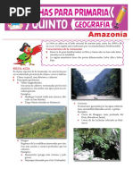 Relieves de La Selva Alta | PDF