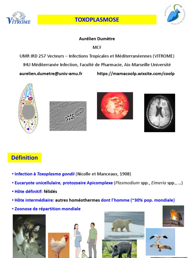 Toxoplasmose 2020 - DUMETRE | PDF | Microbiologie | Immunologie