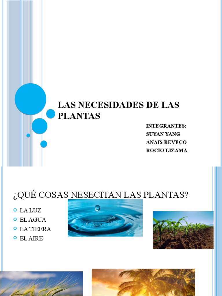 Las Necesidades de Las Plantas Original | PDF