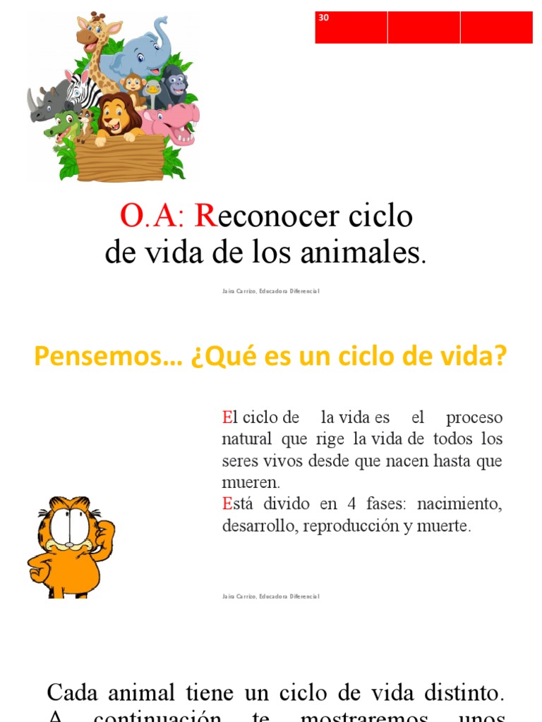 Ciclo de Vida de Los Animales | PDF