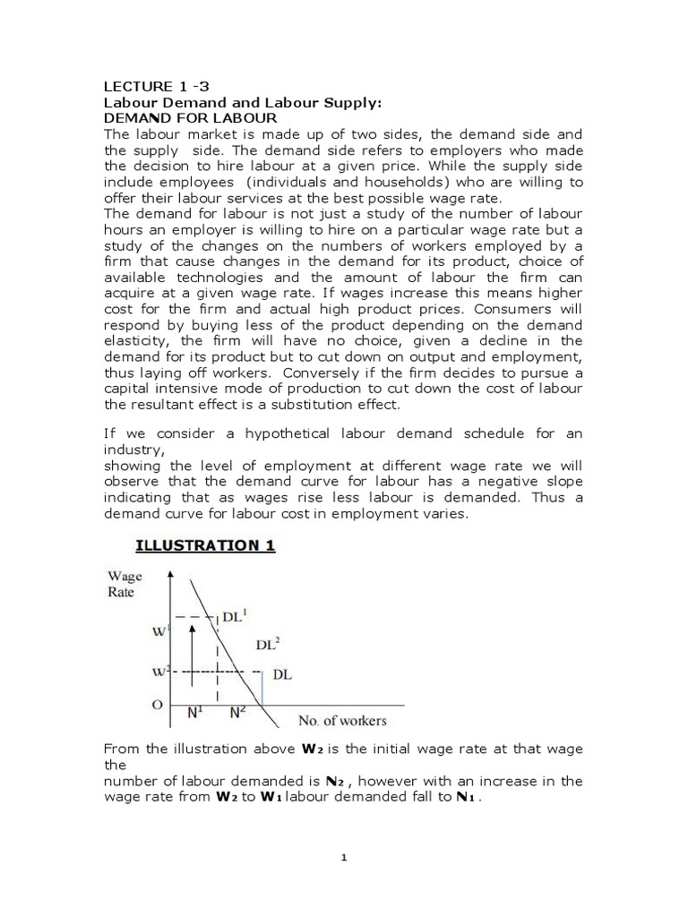 Labour Economics 1 | PDF | Labour Economics | Elasticity (Economics)