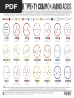 20 Amino Acids: Structures & Names | PDF | Amino Acid | Nutrients