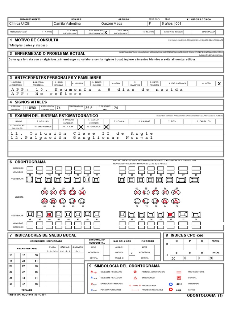 Formulario 033 MSP | PDF | Odontología | Cuidado de la salud