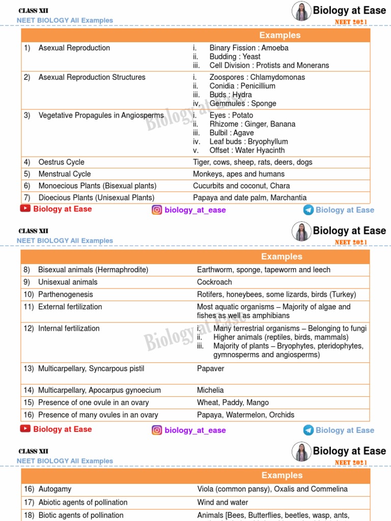 Neet Biology All Examples | PDF | Hormone | Protozoa