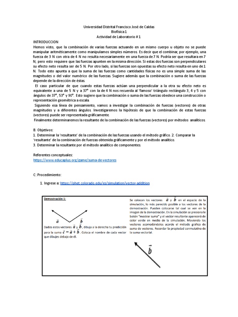 Laboratorio Vectores 1 Phet | PDF | Vector Euclidiano | Física
