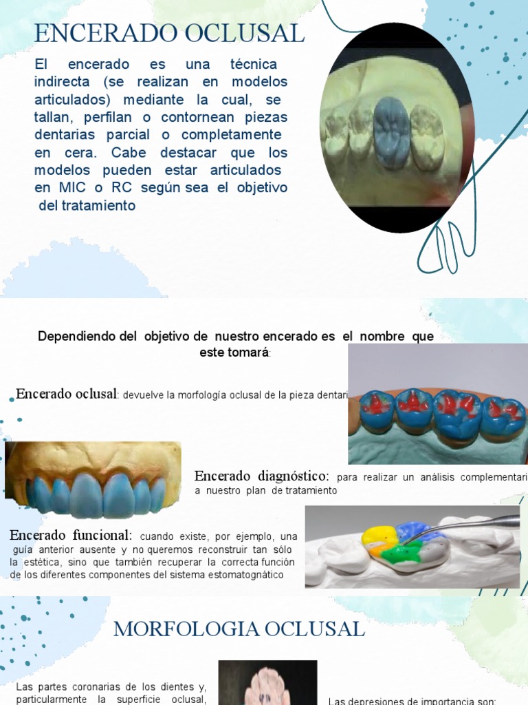 Encerado Oclusal | PDF | Anatomía | Cara
