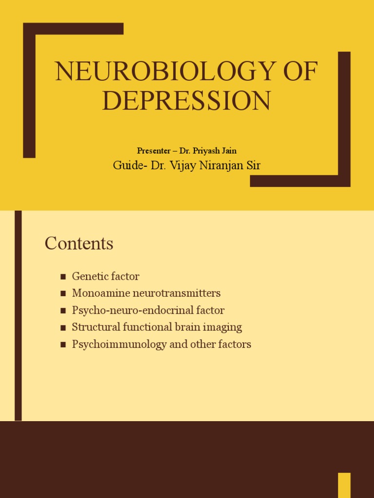Neurobiology of Depression: Guide-Dr. Vijay Niranjan Sir | PDF ...