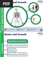 Handout Appendicular Skeletal System Pdf Foot Pelvis