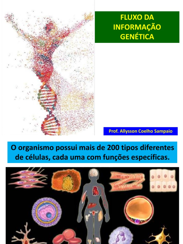 Fluxo Da Informação Genética | PDF | Gene | RNA