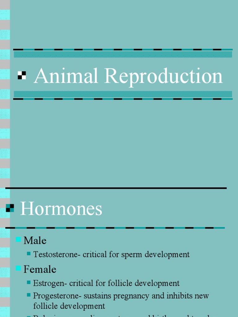 Animal Reproduction | PDF | Reproductive System | Biological Interactions