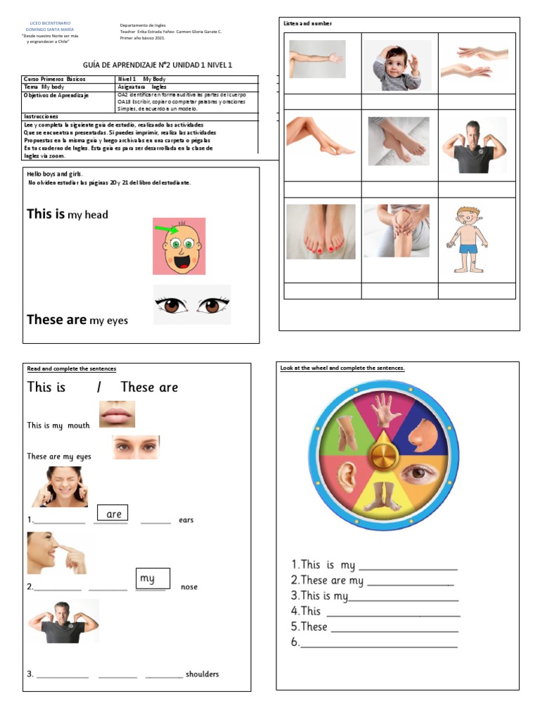 Guía de Aprendizaje: My Body en Inglés | PDF