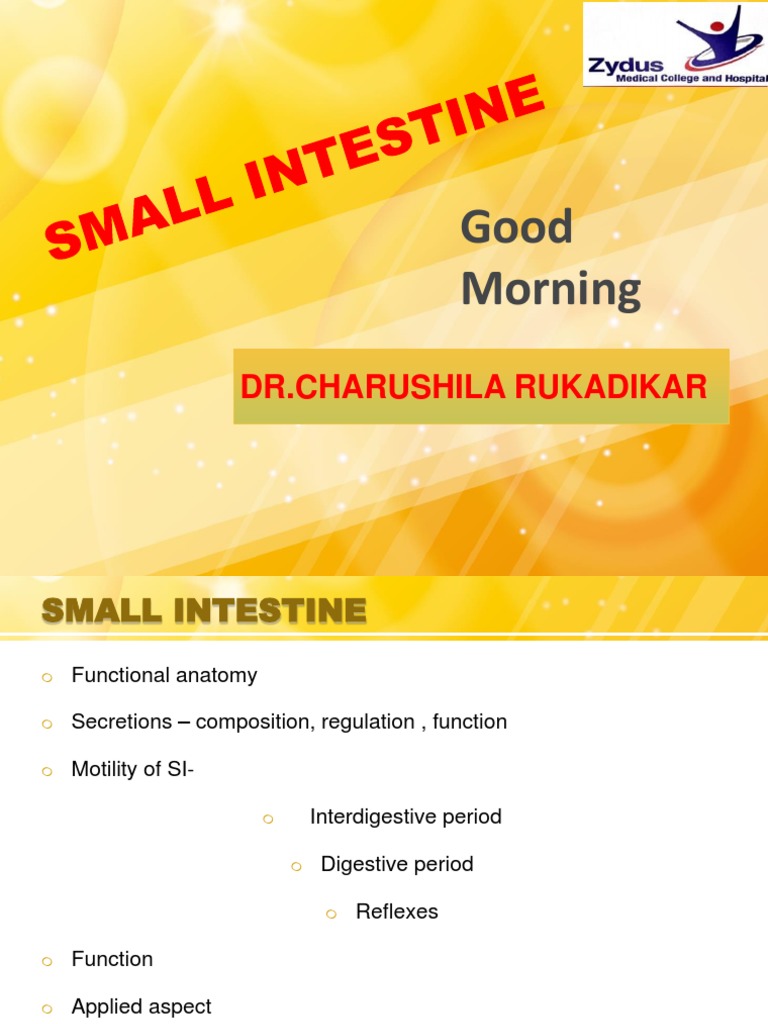 Small Intestine Physiology 07-02-2019 | PDF | Gastrointestinal Tract ...