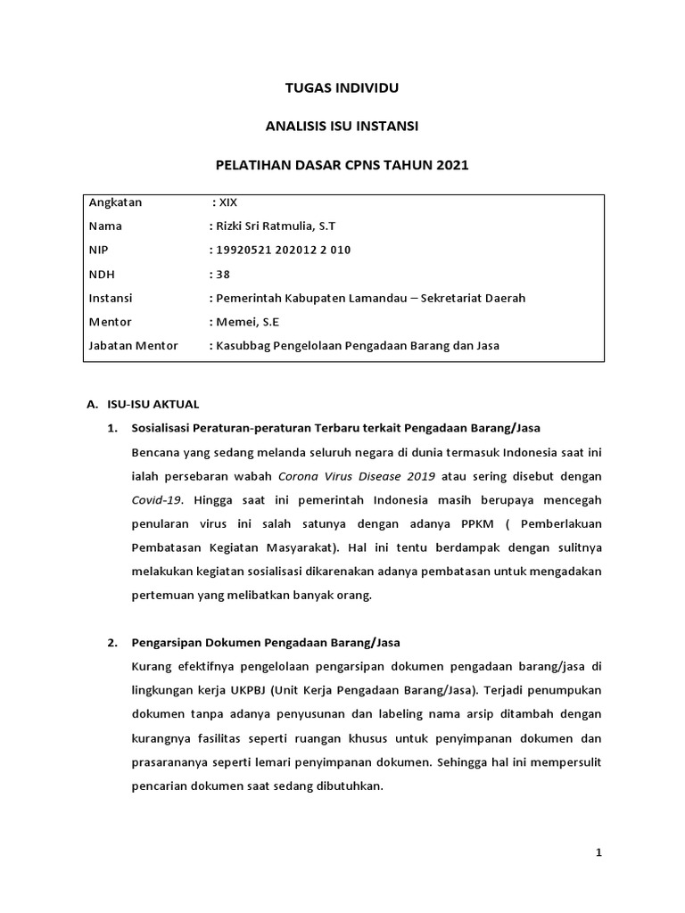 Tugas Individu Analisis Isu | PDF