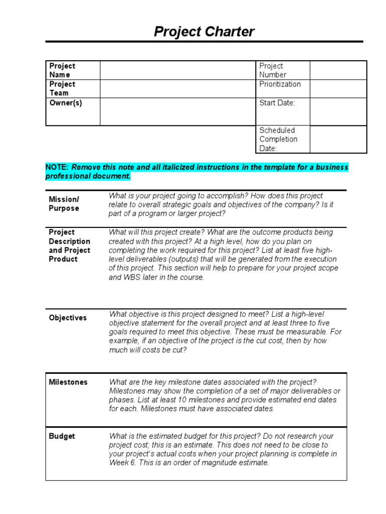 Laying the Foundation: A High-Level Project Charter Outlining Key ...