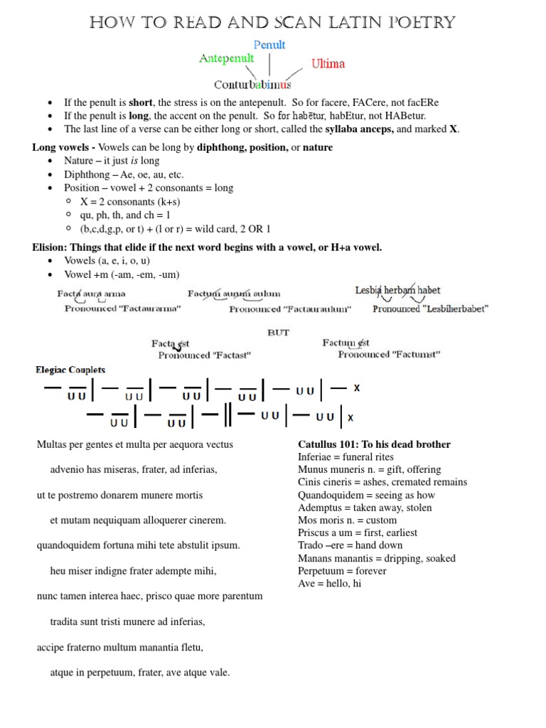 1how To Scan Latin Poetry Catullus 101 | PDF