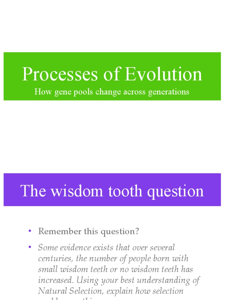 Processes of Evolution: How Gene Pools Change Across Generations | PDF ...