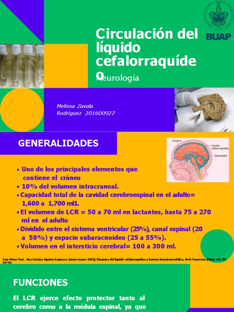 Circulacion LCR | PDF | Fluido cerebroespinal | Anatomía humana