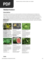 Watermelon Growing and Management | PDF | Watermelon | Soil