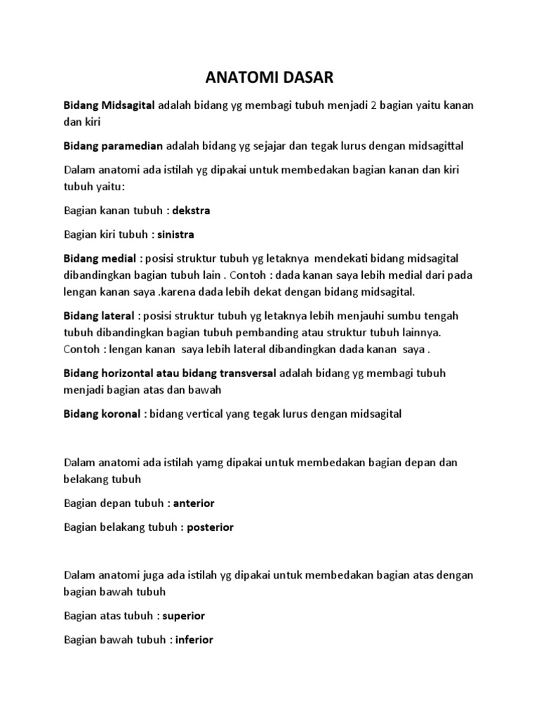 Anatomi Dasar | PDF