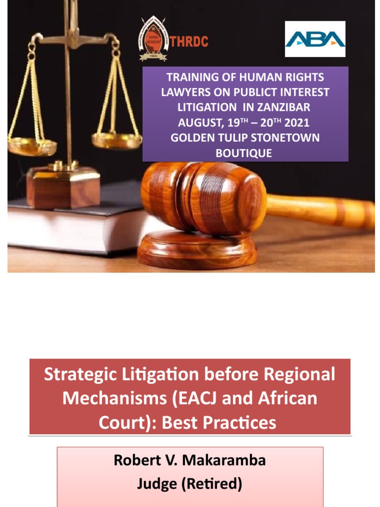 Litigating Before Regional Mechanisms | PDF | Defamation | Human Rights
