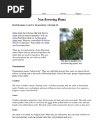 Grade 6 - Classification of Plants | PDF
